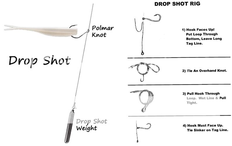 Drop-Shot-Diagram.jpg Photo by Jezpic | Photobucket