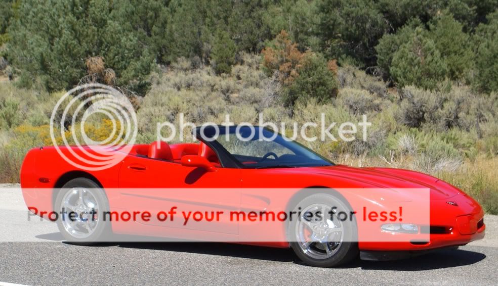 What does Firethorn red interior look like ?? - CorvetteForum ...